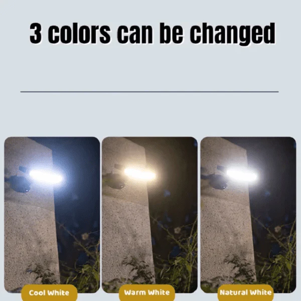 Solar Induction Lamp - TTL Lights Collection